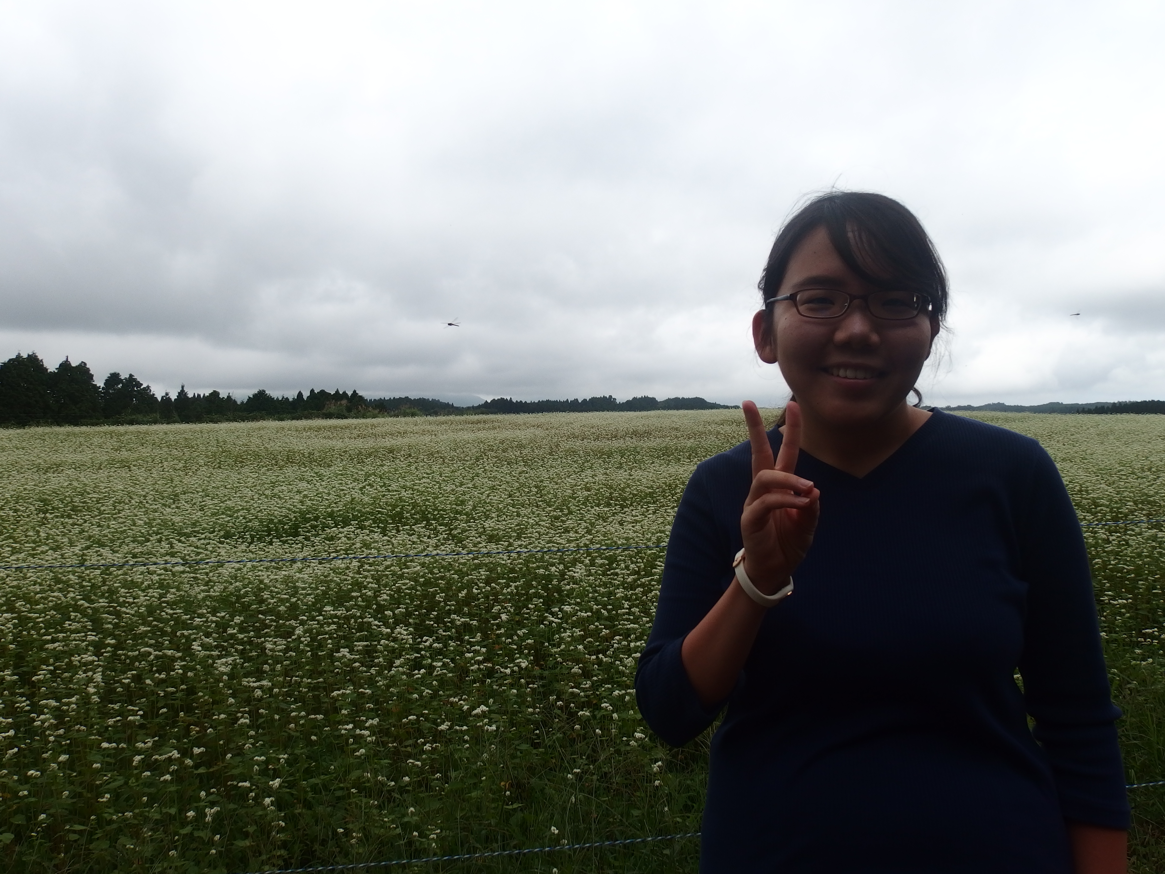 Sightseeing around Mount Aso: Namino area | 道の駅 阿蘇Michi no Eki Aso