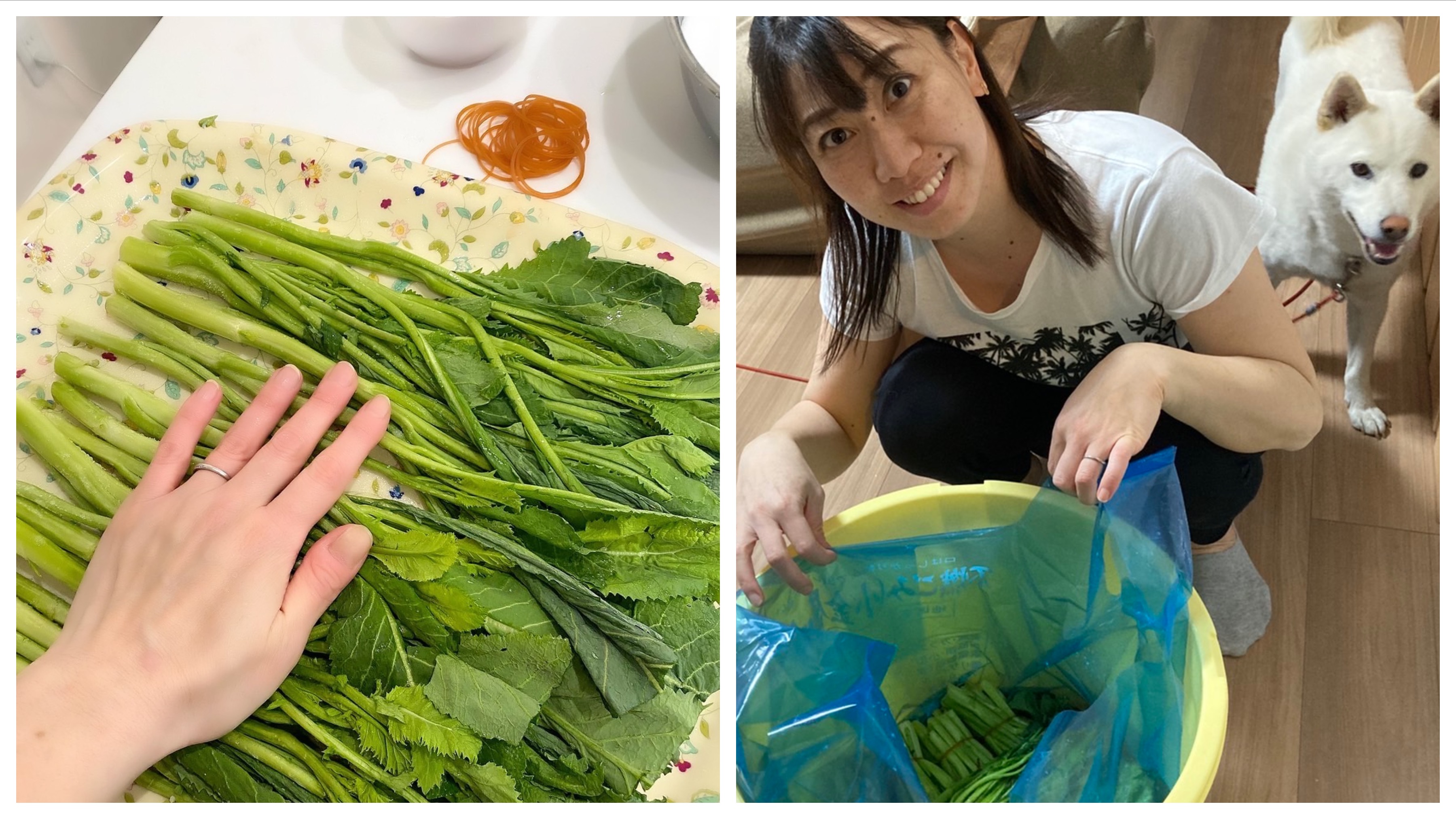 Let's make Aso Takana, with a local pickling recipe | 道の駅 阿蘇Michi no ...