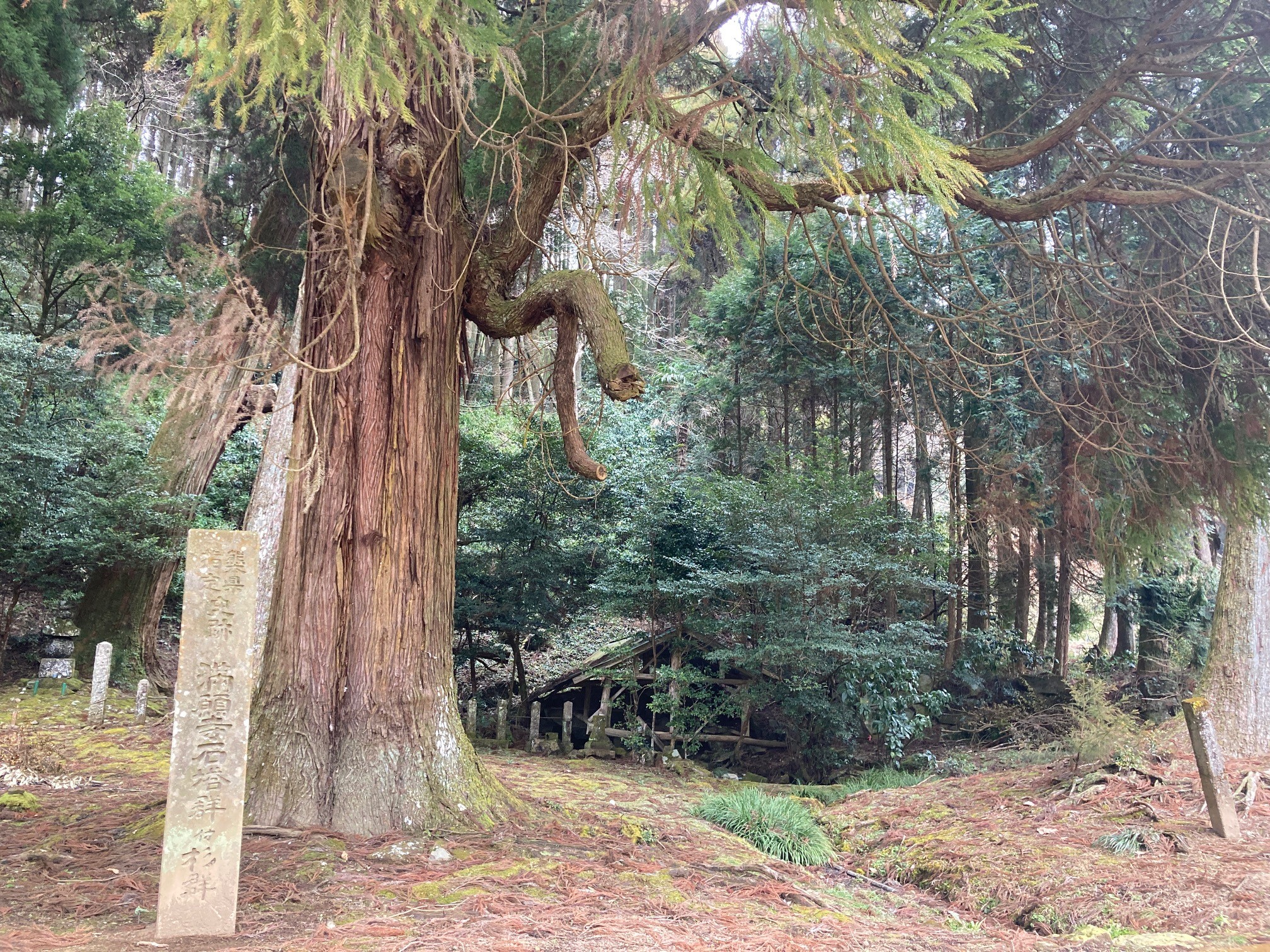 Manganji temple | 道の駅 阿蘇Michi no Eki Aso