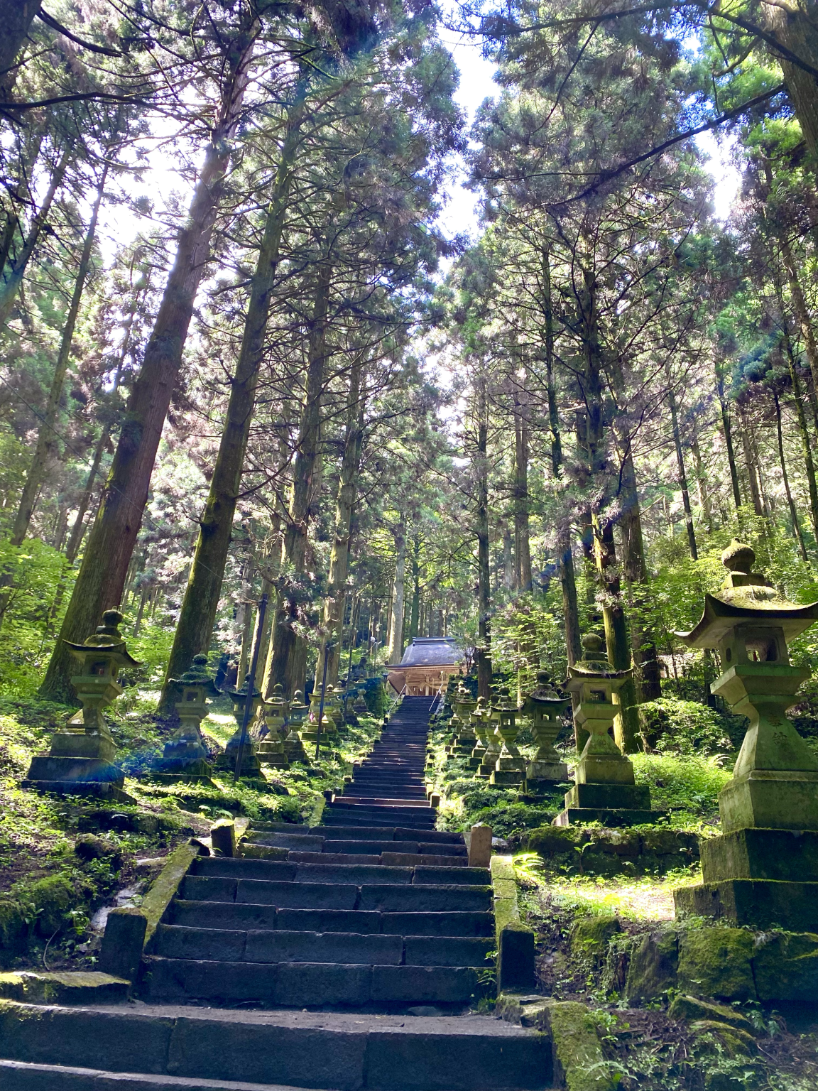 Mystical Kamishikimi Kumanoimasu Shrine and Daikanbo’s Sunset | 道の駅 阿蘇 ...