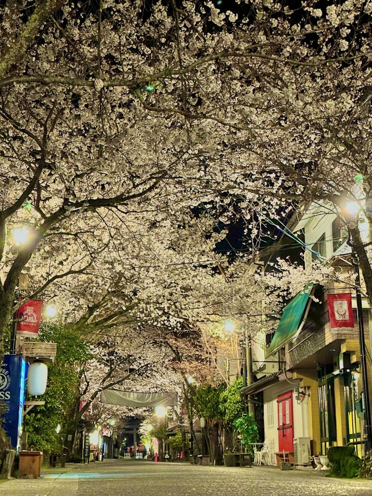 Discover Aso’s Monzenmachi Spring Water Walk | 道の駅 阿蘇Michi no Eki Aso