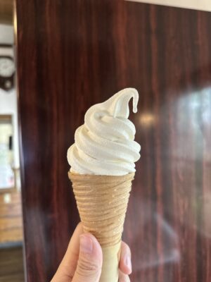 Aso Local Food Guide｜Kimura Tofu Store – Must-Try Soy Milk Ice Cream ...
