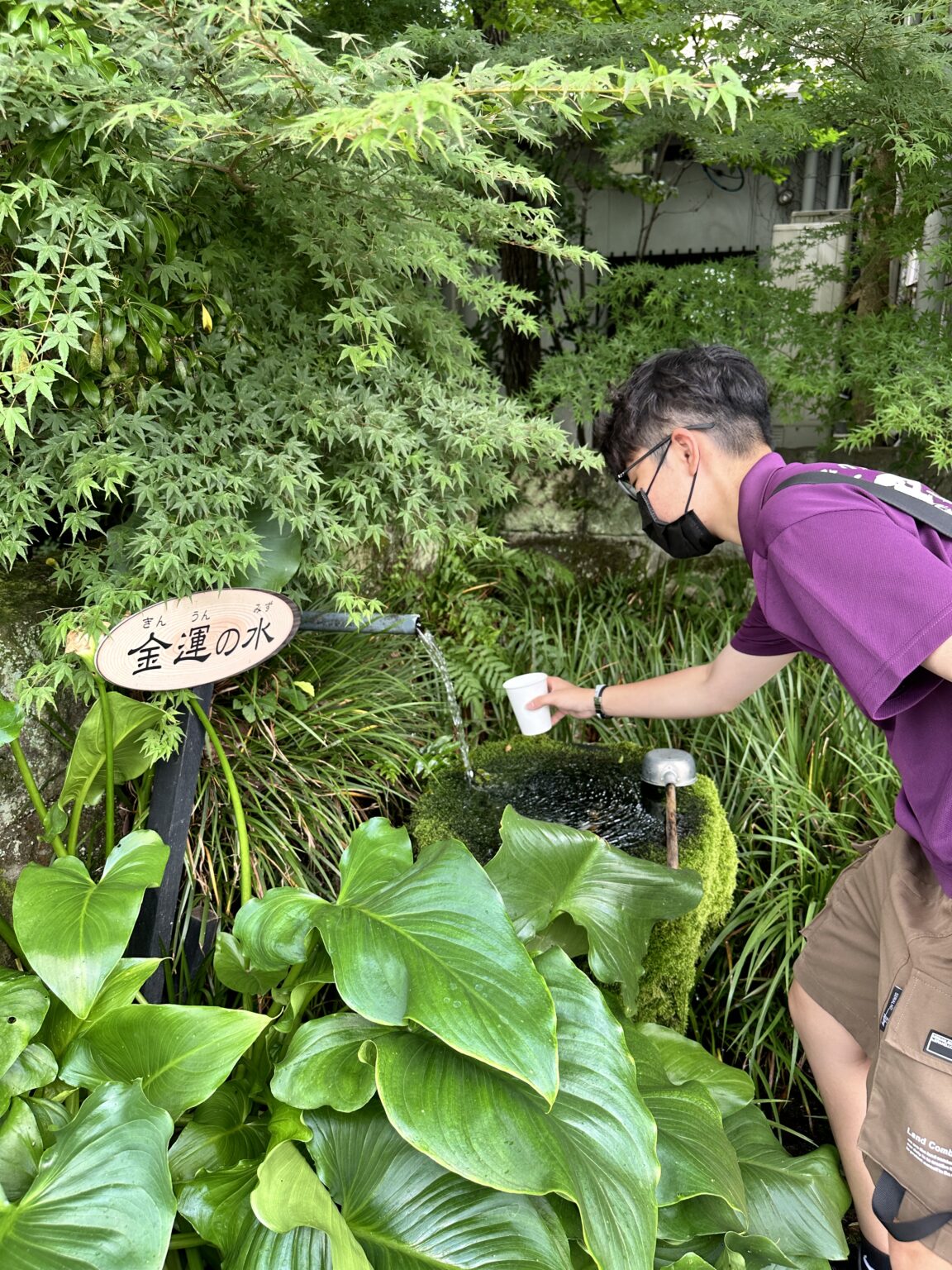 Discover Aso’s Monzenmachi Spring Water Walk | 道の駅 阿蘇Michi no Eki Aso