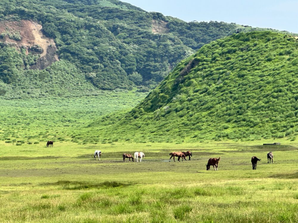 A Day Trip to Kusasenri in Aso | 道の駅 阿蘇Michi no Eki Aso