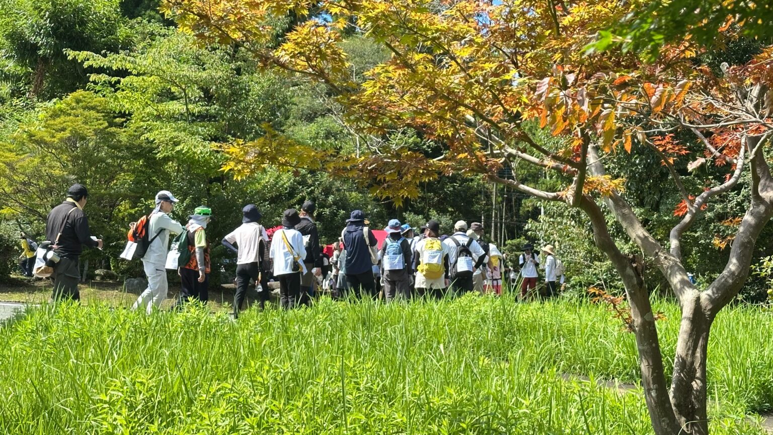 10 km Challenge! Aso Genki Walk | 道の駅 阿蘇Michi no Eki Aso