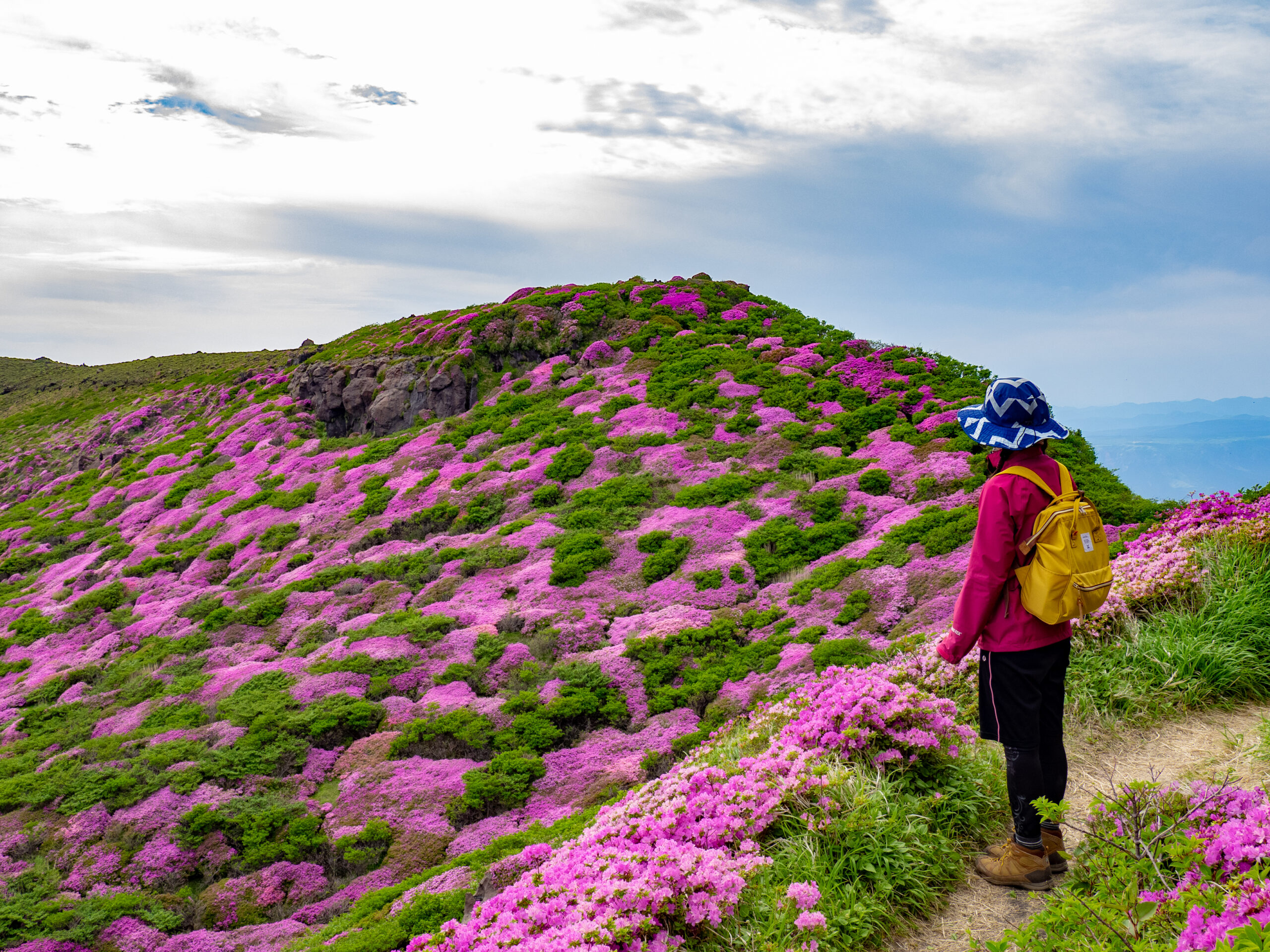 Takadake in Full Bloom | 道の駅 阿蘇Michi no Eki Aso